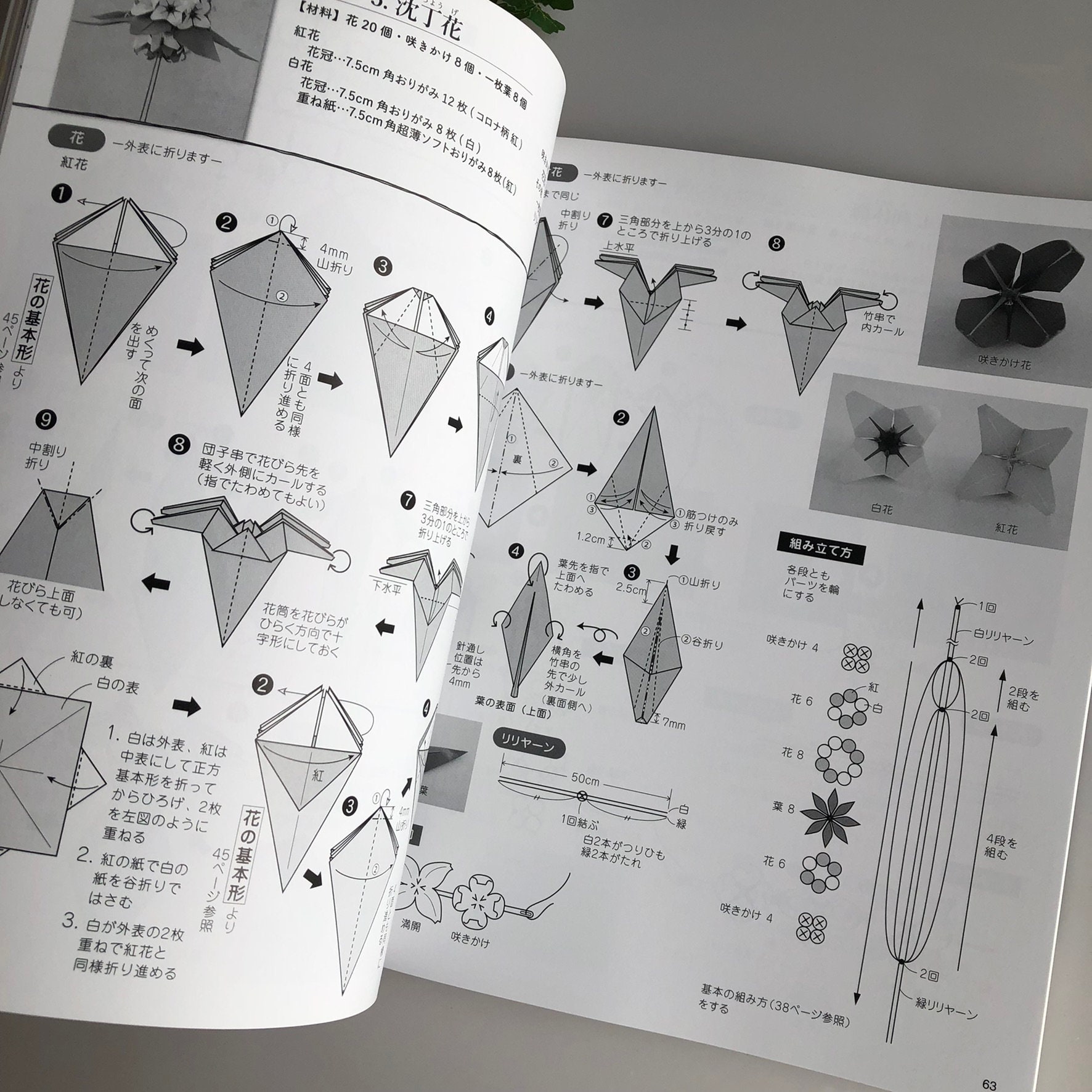 Kusudama Folded Flower Encyclopedia, Revised Edition / Japanese origami ...