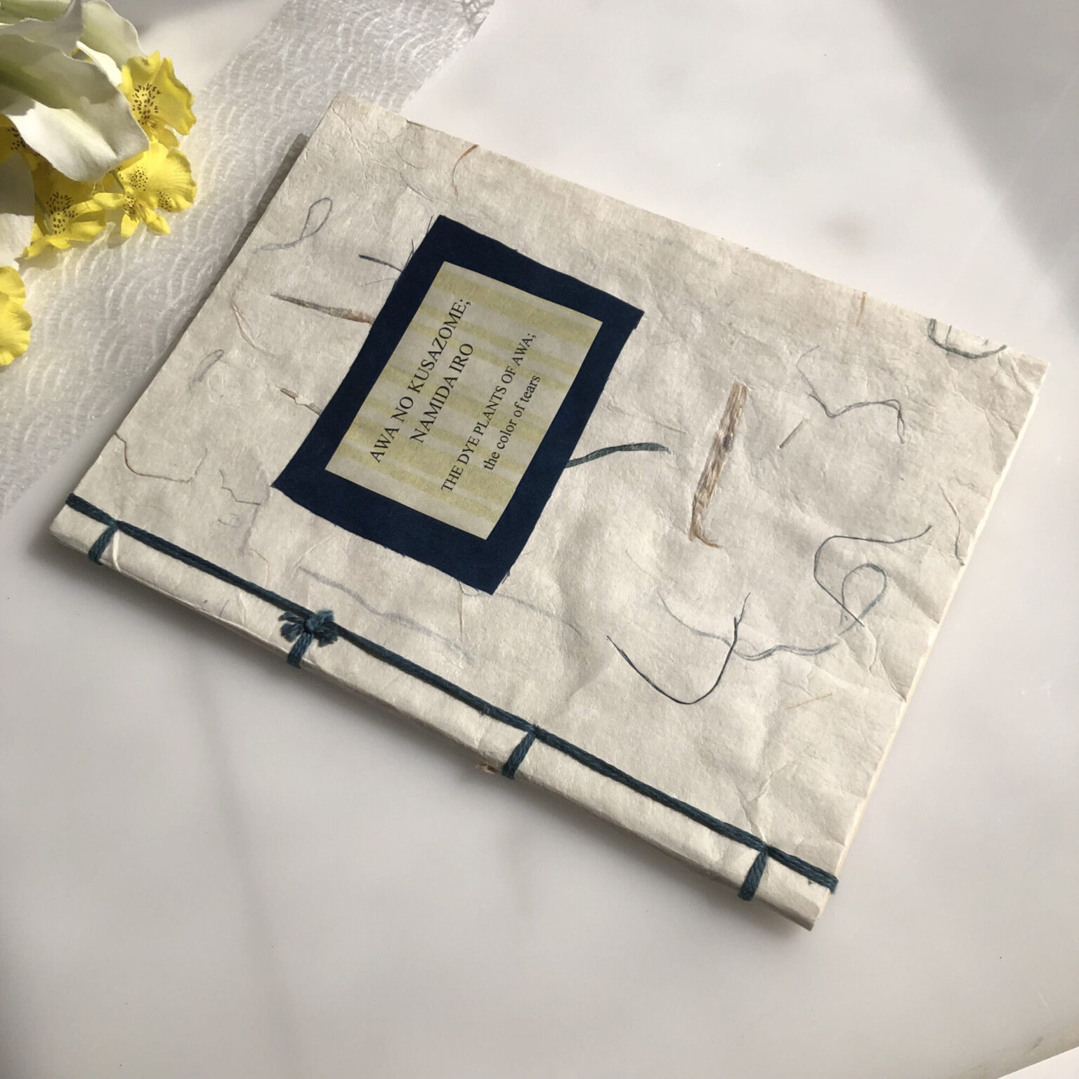 BOOK “Awa no Kusazome namidairo; The dye plants of Awa” plant dye in ...