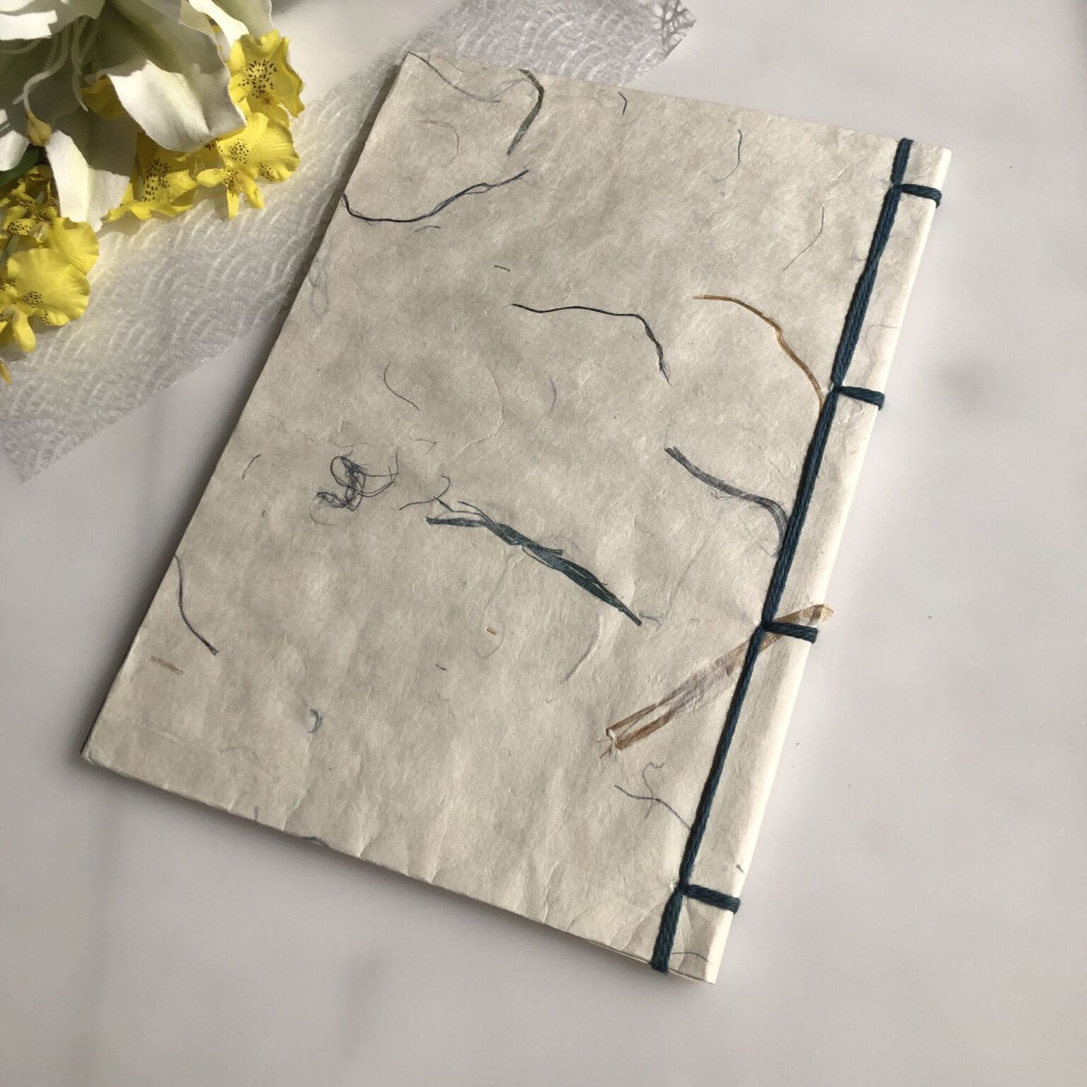 BOOK “Awa no Kusazome namidairo; The dye plants of Awa” plant dye in ...